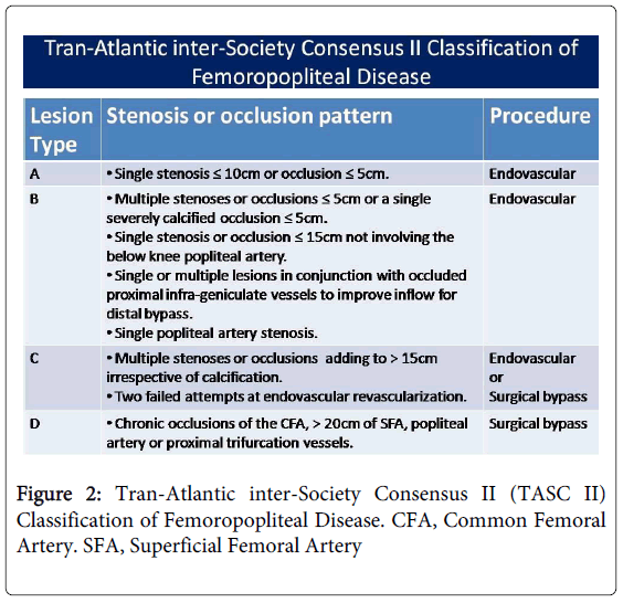 A Review of Superficial Femoral Artery Angioplasty and Stenting
