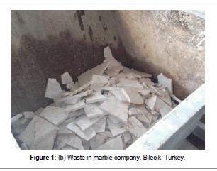 Evaluation of Energy Conservation with Utilization of Marble Waste in ...